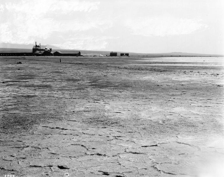 New Liverpool Salt Company | Life of the Salton Sea
